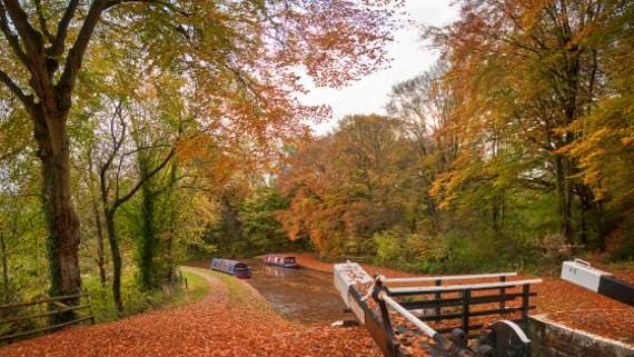 Have you thought about taking an autumn walk? | brecon-radnor.co.uk