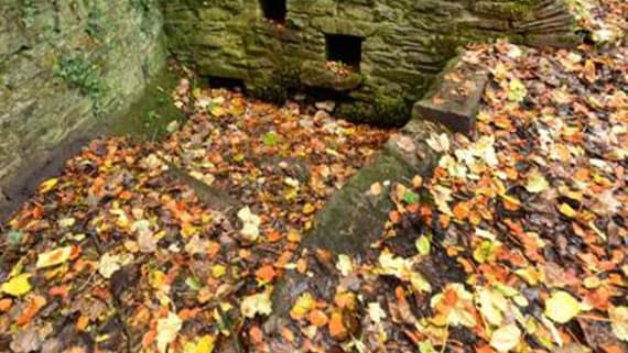 Hope springs for ancient wells preservation | brecon-radnor.co.uk