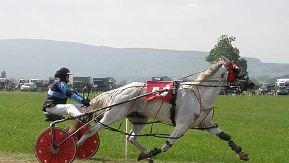 Mid-Wales & Border counties harness racing | brecon-radnor.co.uk