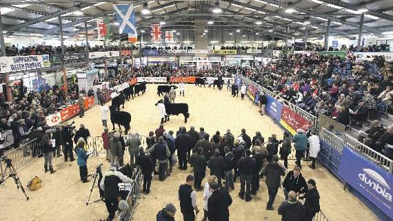 Royal Welsh Winter Fair kick-starts the festive season | brecon-radnor ...