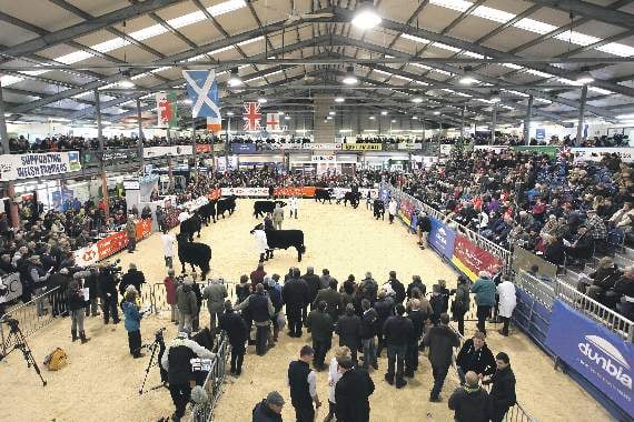 Royal Welsh Winter Fair kick-starts the festive season | brecon-radnor.co.uk