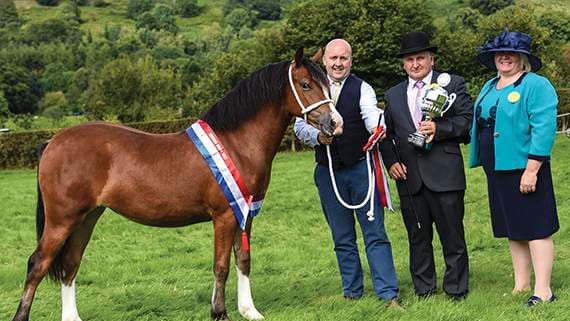 Erwood Show report and results | brecon-radnor.co.uk