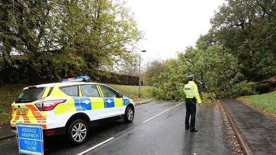 Tree crashed down moments after policeman passed underneath | brecon ...