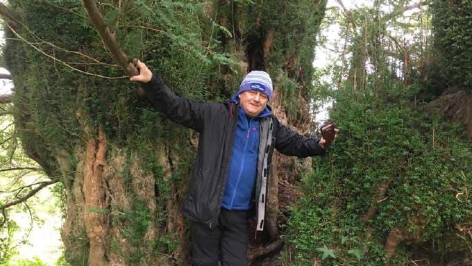 A look at the Beacons most ancient Yew Tree | brecon-radnor.co.uk