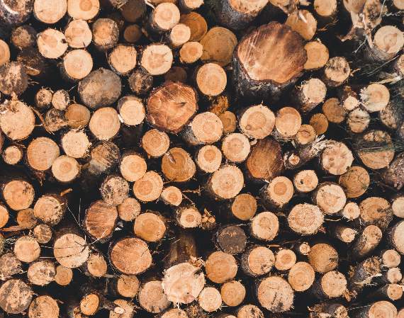 Powys backs Welsh timber in pioneering project | brecon-radnor.co.uk