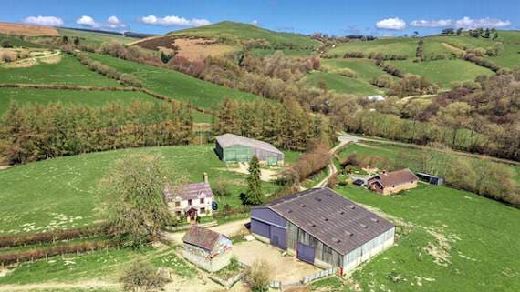 Wildlife trust set to restore nature to Mid Wales farm | brecon-radnor ...