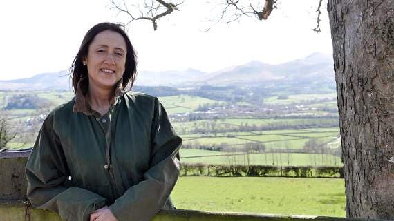 Former MP Jane Dodds elected as Senedd Member for Mid and West Wales ...