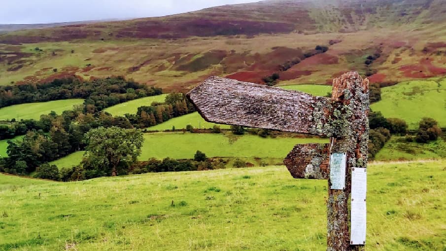 Mair and Rhian join the team of artists telling the little known tales ...