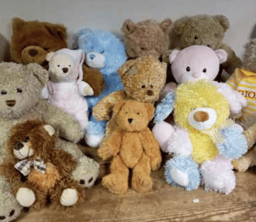 Charity aims to send teddies to Ukraine | brecon-radnor.co.uk