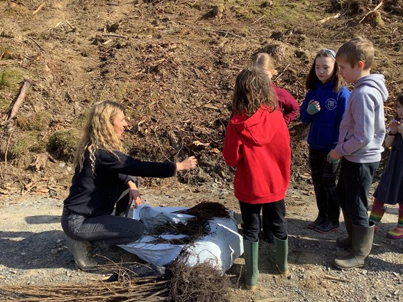 School children play a part in restoring ancient woodland features to ...