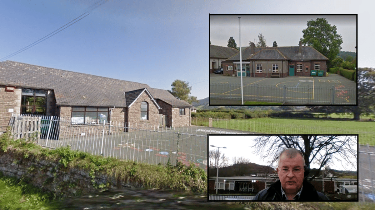 Judicial review applications to stop school closures have been made ...