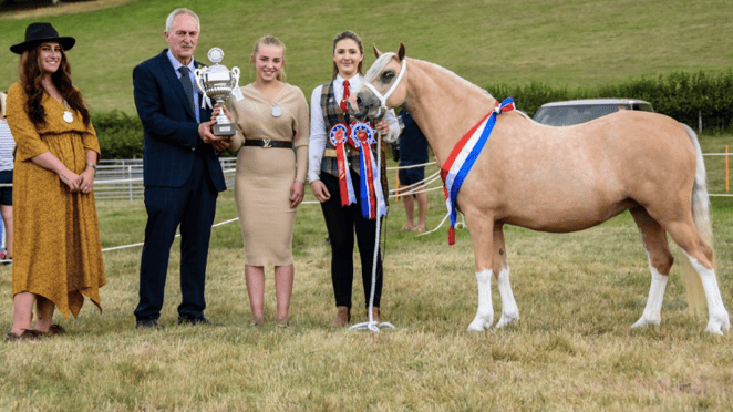 Erwood Show proves another great success | brecon-radnor.co.uk