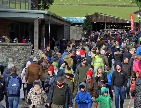 Kick off the festive season with a visit to the Royal Welsh Winter Fair ...