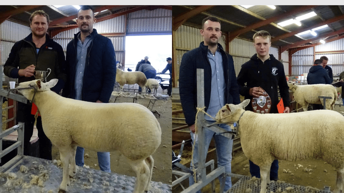 Winners crowned at Sennybridge YFC lamb trimming competition | brecon ...