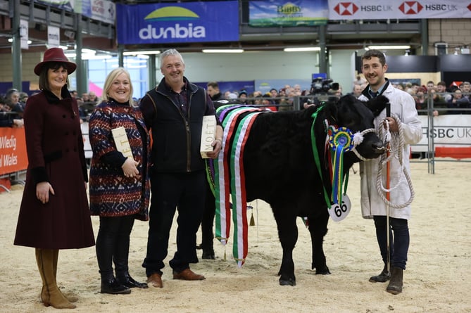 Record-breaking Royal Welsh Winter Fair kickstarts the festive season ...
