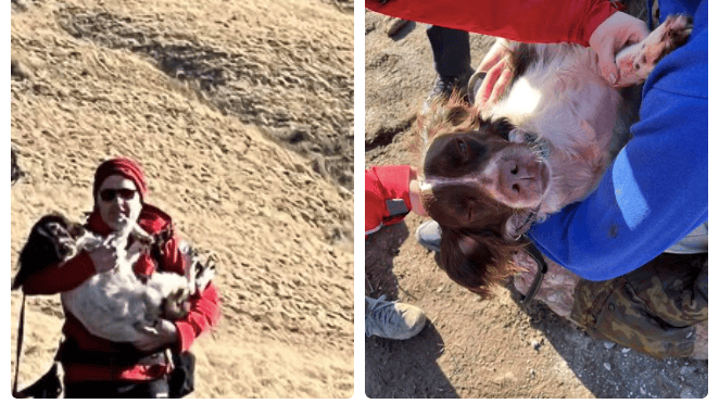 Dog survives summit fall in Brecon Beacons | brecon-radnor.co.uk