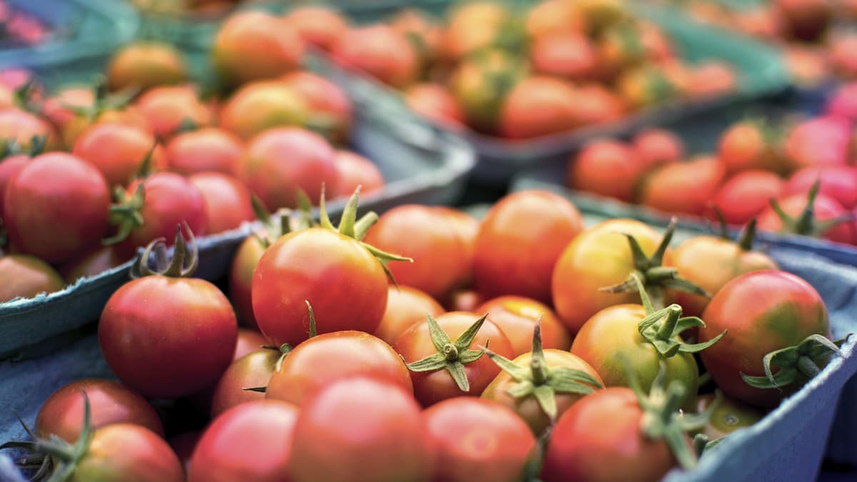 Morrisons and Aldi stores in Brecon introduce cap on fruit and ...