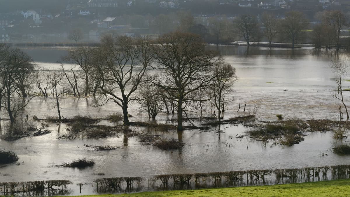 Consultation launched on a new flood risk management plan for Wales ...