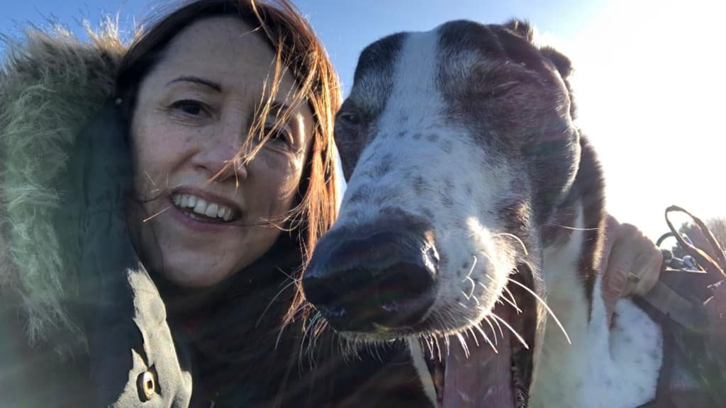 Jane Dodds welcomes moves by the Welsh Government to examine a ban on ...