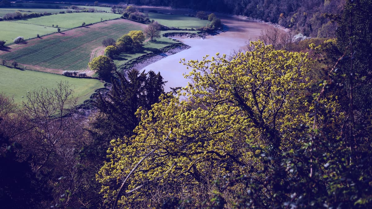 Council flags river pollution as major risk to housing and economy ...