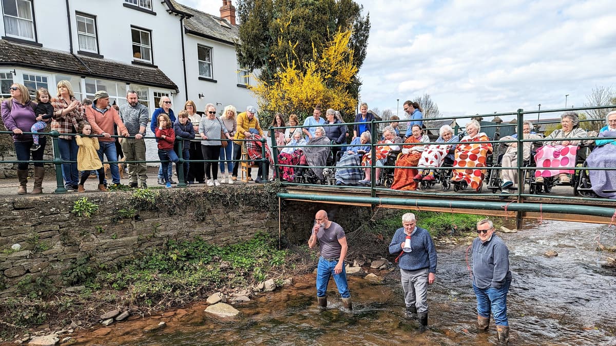 Talgarth Duck Race proves a quacking success | brecon-radnor.co.uk