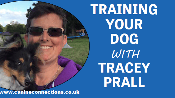Training Your Dog with Tracey Prall | brecon-radnor.co.uk