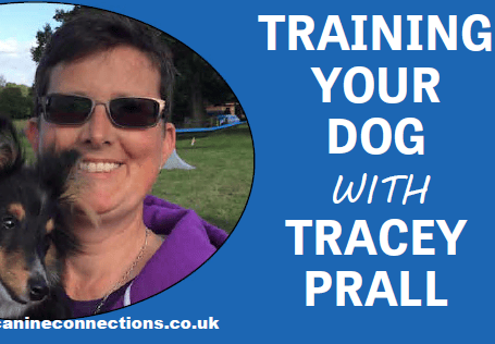 Training Your Dog with Tracey Prall | brecon-radnor.co.uk