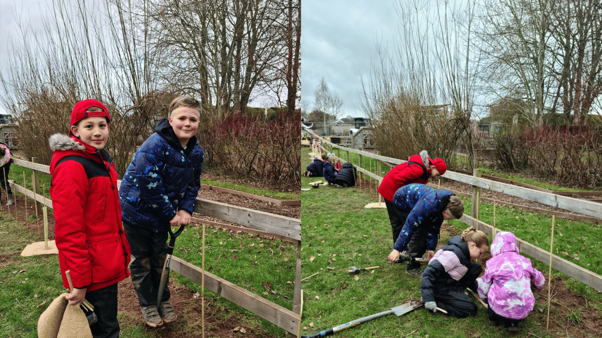 Clyro School helps plant 100 new woodlands in Wales | brecon-radnor.co.uk
