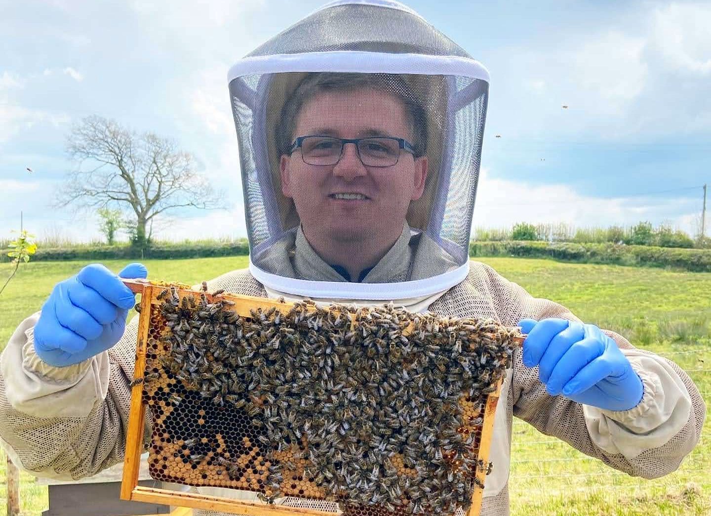 'Healthy Bees Academy' to be launched at Llanelwedd this weekend ...