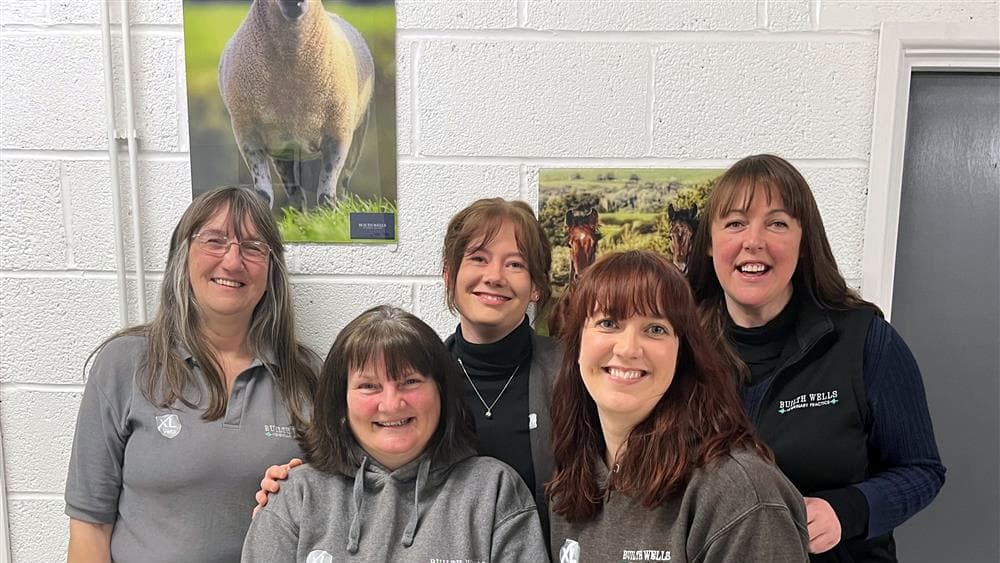 Builth Vets team to walk the talk for Alzheimer's charity | brecon ...