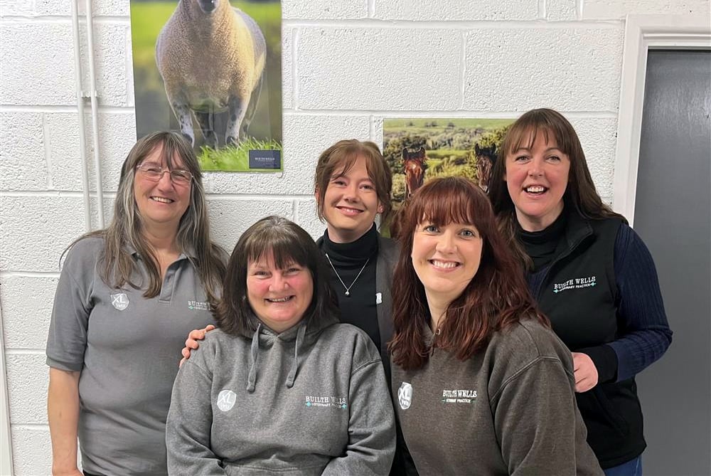 Builth Vets team to walk the talk for Alzheimer's charity | brecon ...