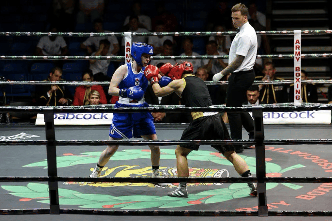 Brecon's Jaya delivers a one-two punch at the British Army Boxing ...