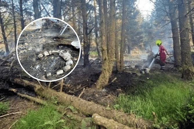 Fire crews respond to second forest fire in two days, suspected ...