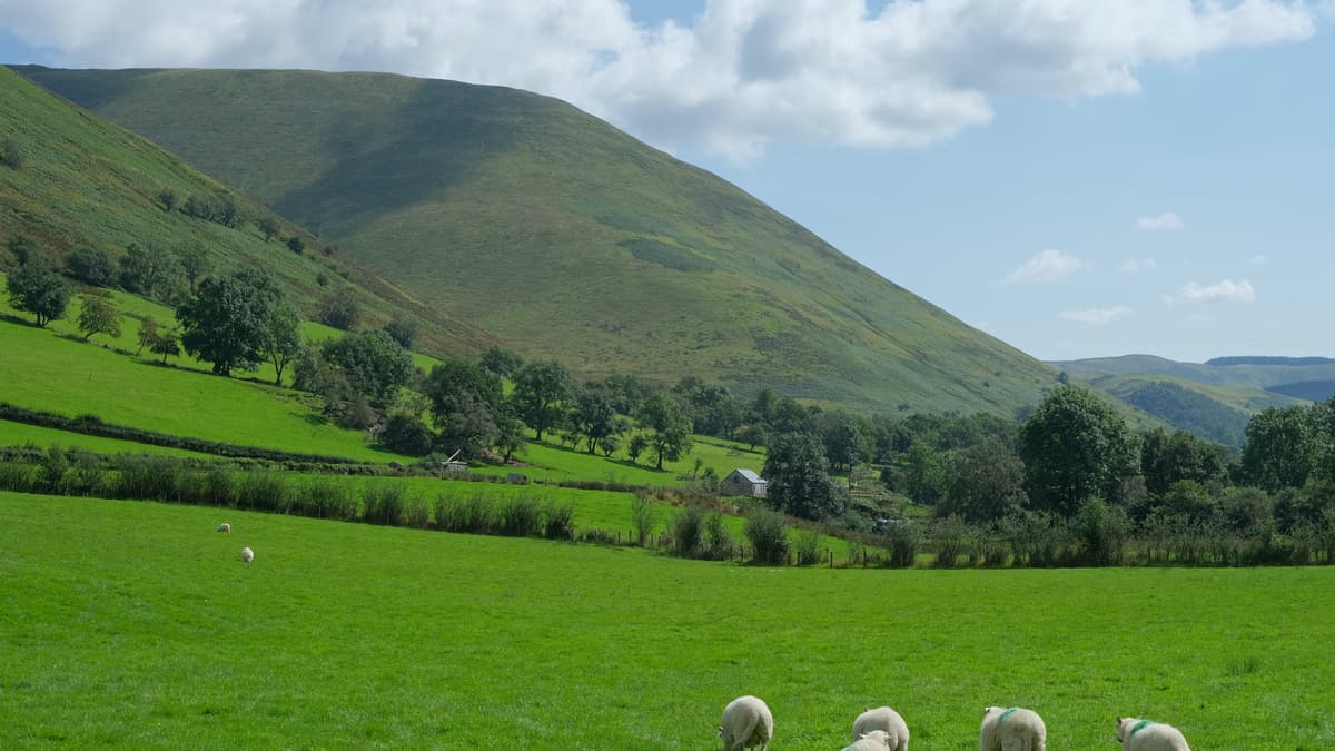 NFU Cymru launches Sustainable Agriculture Award | brecon-radnor.co.uk