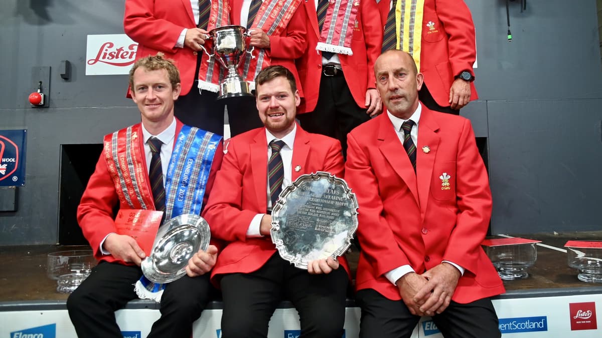 Shear excellence: Welsh team triumphs at Golden Shears Championships ...