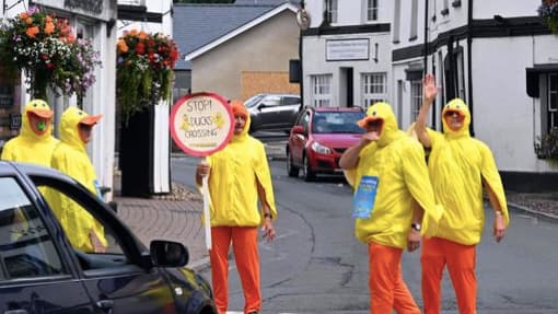 Crickhowell goes 'quackers' as human ducks promote upcoming duck race ...