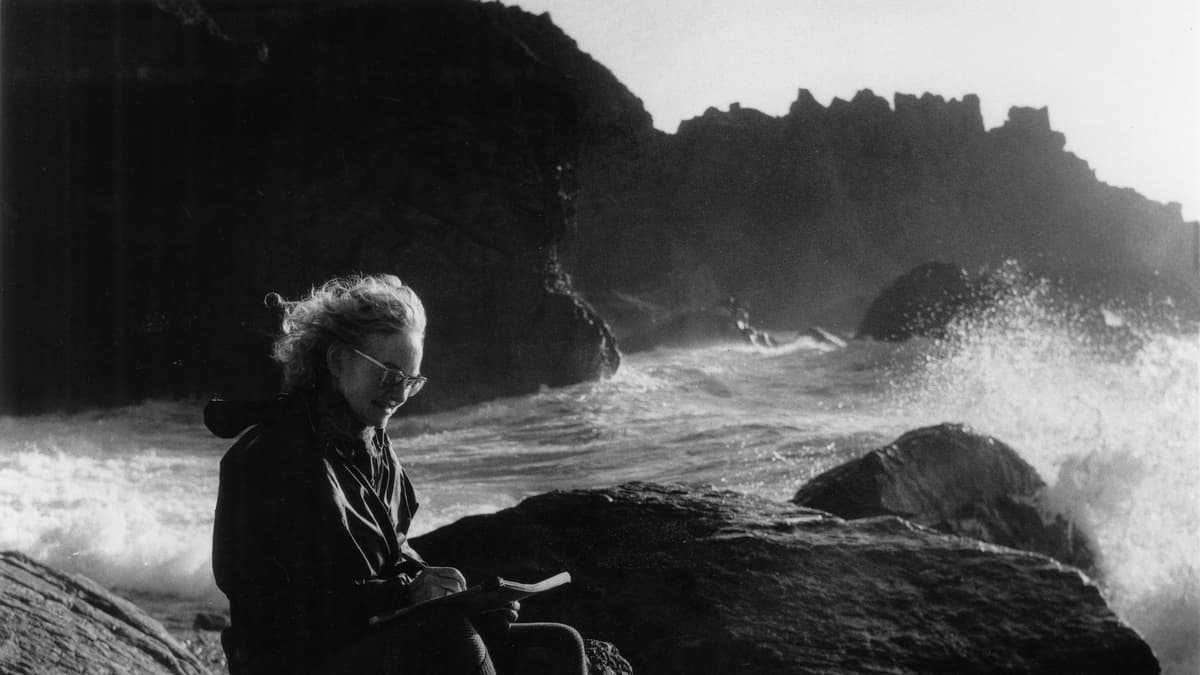 Biography of 'neglected' Welsh female artist to be launched in Brecon ...