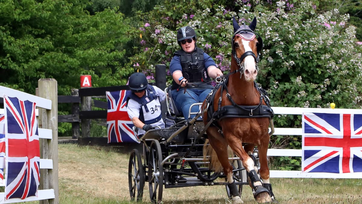 Brecon carriage driver heads to World Championships | brecon-radnor.co.uk