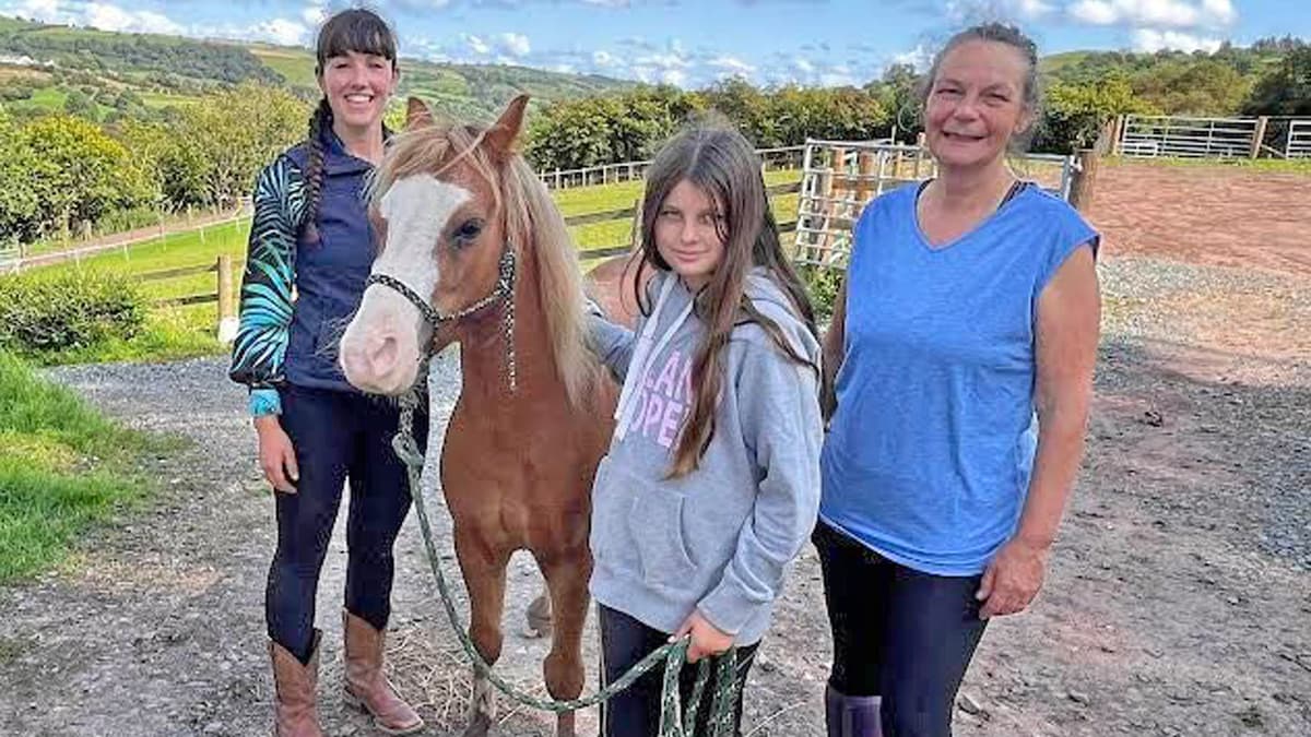 Winner Ophelia meets social media pony star Haribo at Brandy House Farm ...