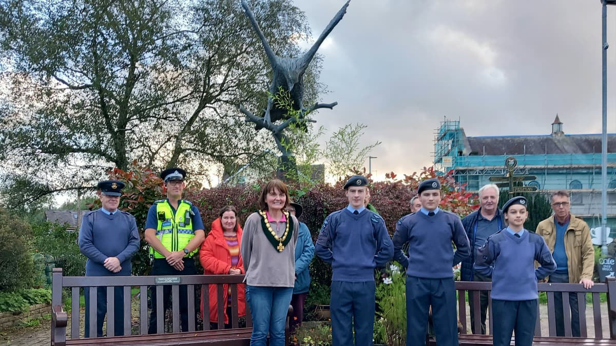 Teenager honoured by town council for outstanding volunteer work ...