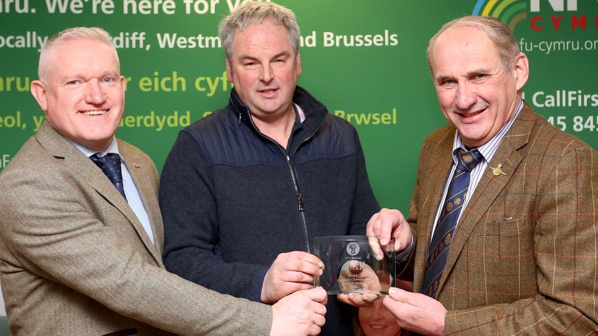 Winter Fair: NFU Cymru/NFU Mutual Livestock Champion Award winner ...