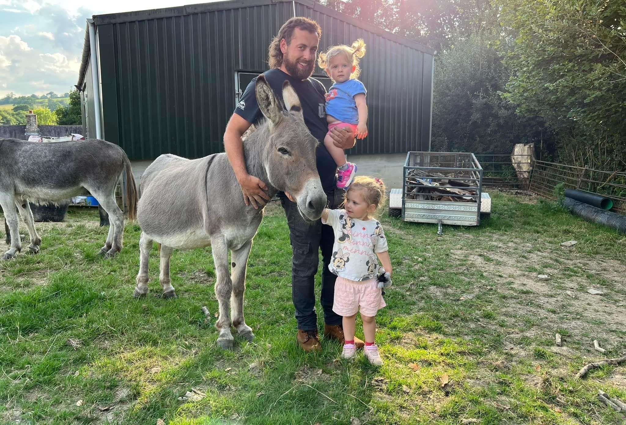 'Devastated' owners appeal for return of stolen donkey, powys ...