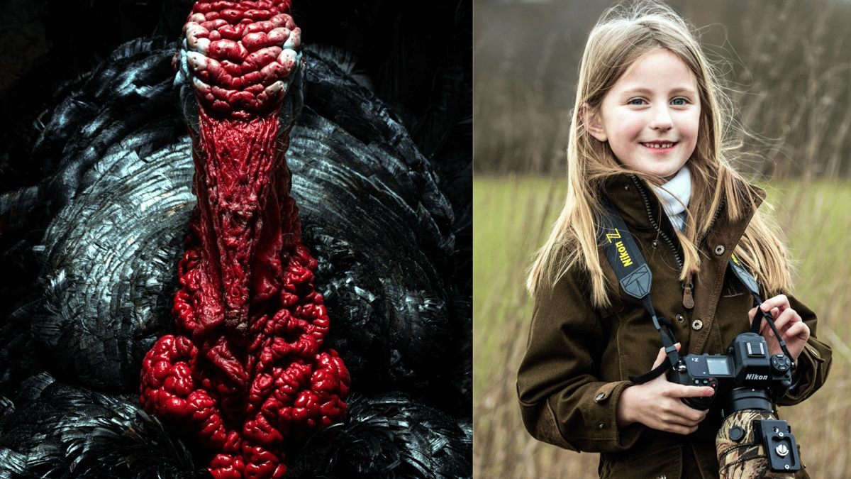 Llandrindod photographer becomes youngest ever RSPCA award winner | brecon-radnor.co.uk