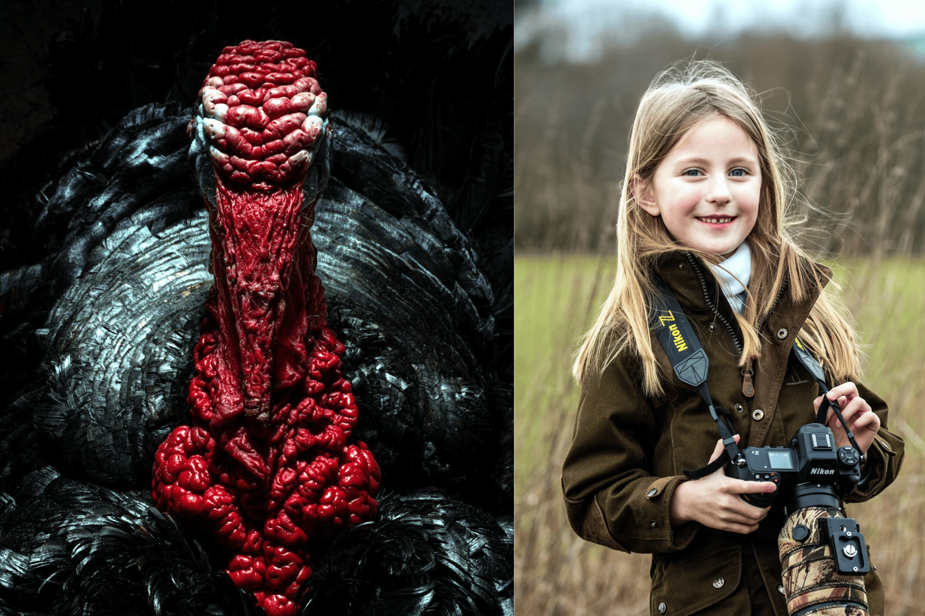 Llandrindod photographer becomes youngest ever RSPCA award winner ...