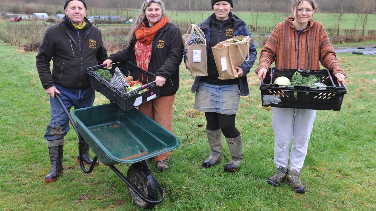 Powys couple's organic farming dream blooms into success | brecon ...