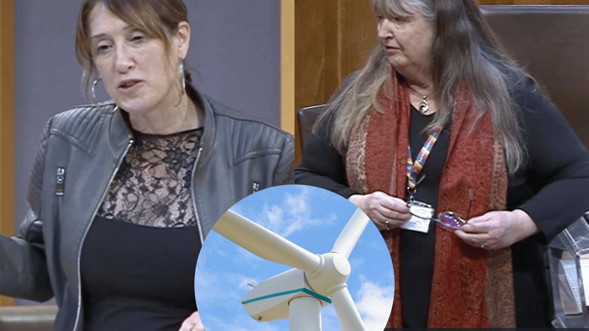 VIDEO: Jane Dodds calls for local benefit from renewable energy schemes ...
