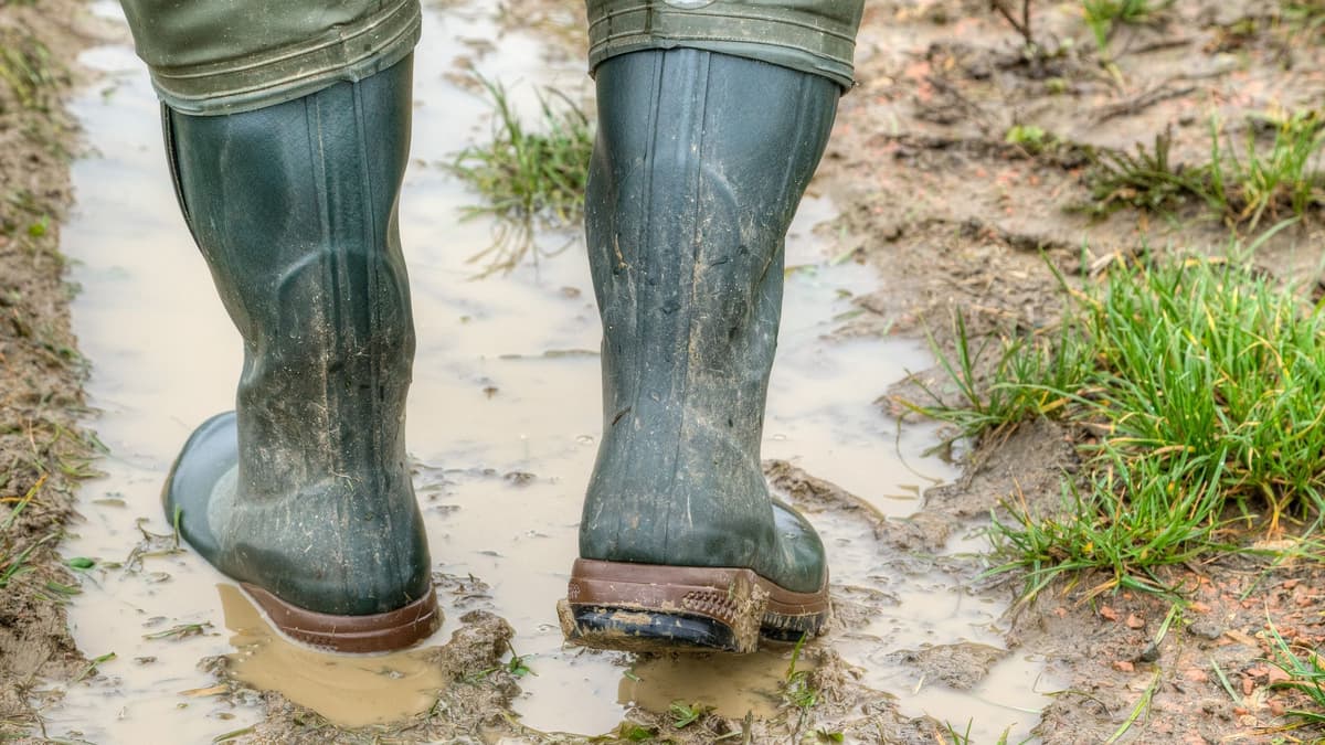 News from the FUW with Sharon Pritchard | brecon-radnor.co.uk