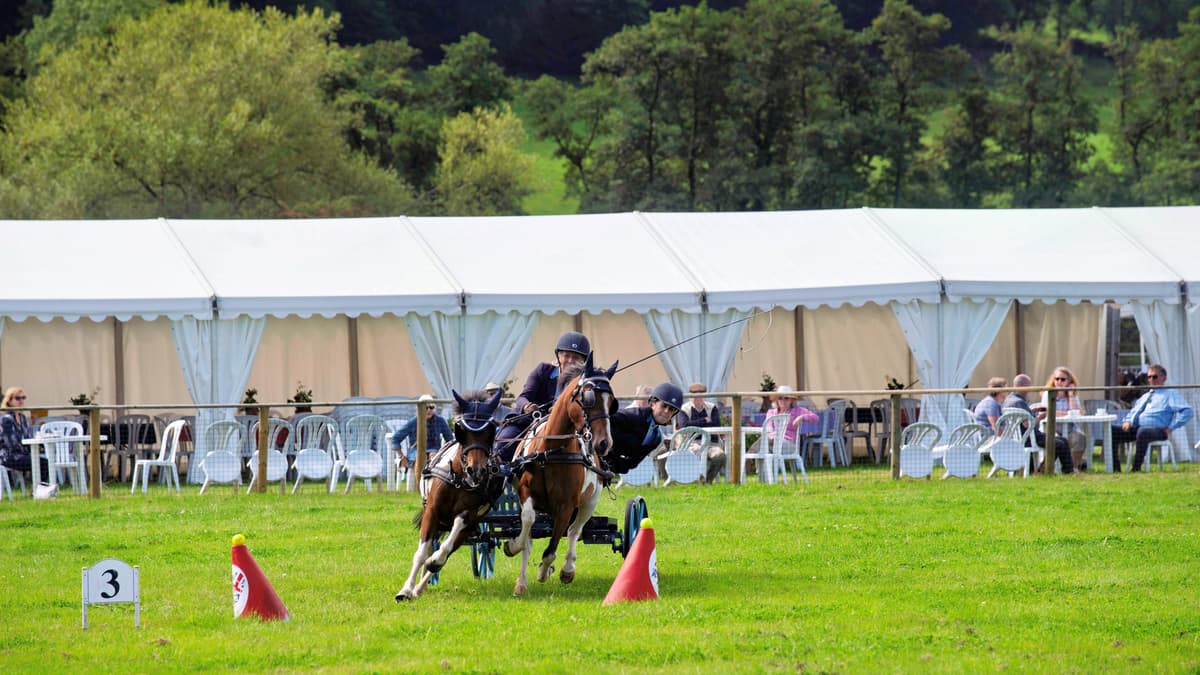 This weekend's line up of events | brecon-radnor.co.uk