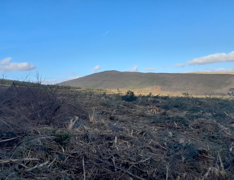 Roman Marching Camp preservation completed | brecon-radnor.co.uk
