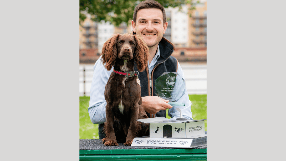 James Evans' Bonnie wins hearts at Senedd Dog of the Year | brecon ...